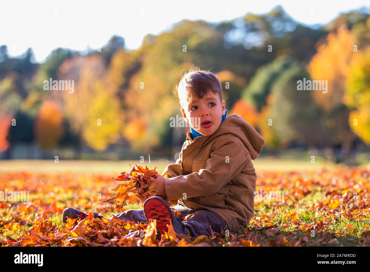 Cute little boy in autumn Stock Photo - Alamy