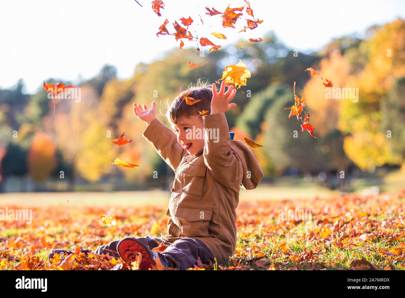 Cute little boy in autumn Stock Photo - Alamy