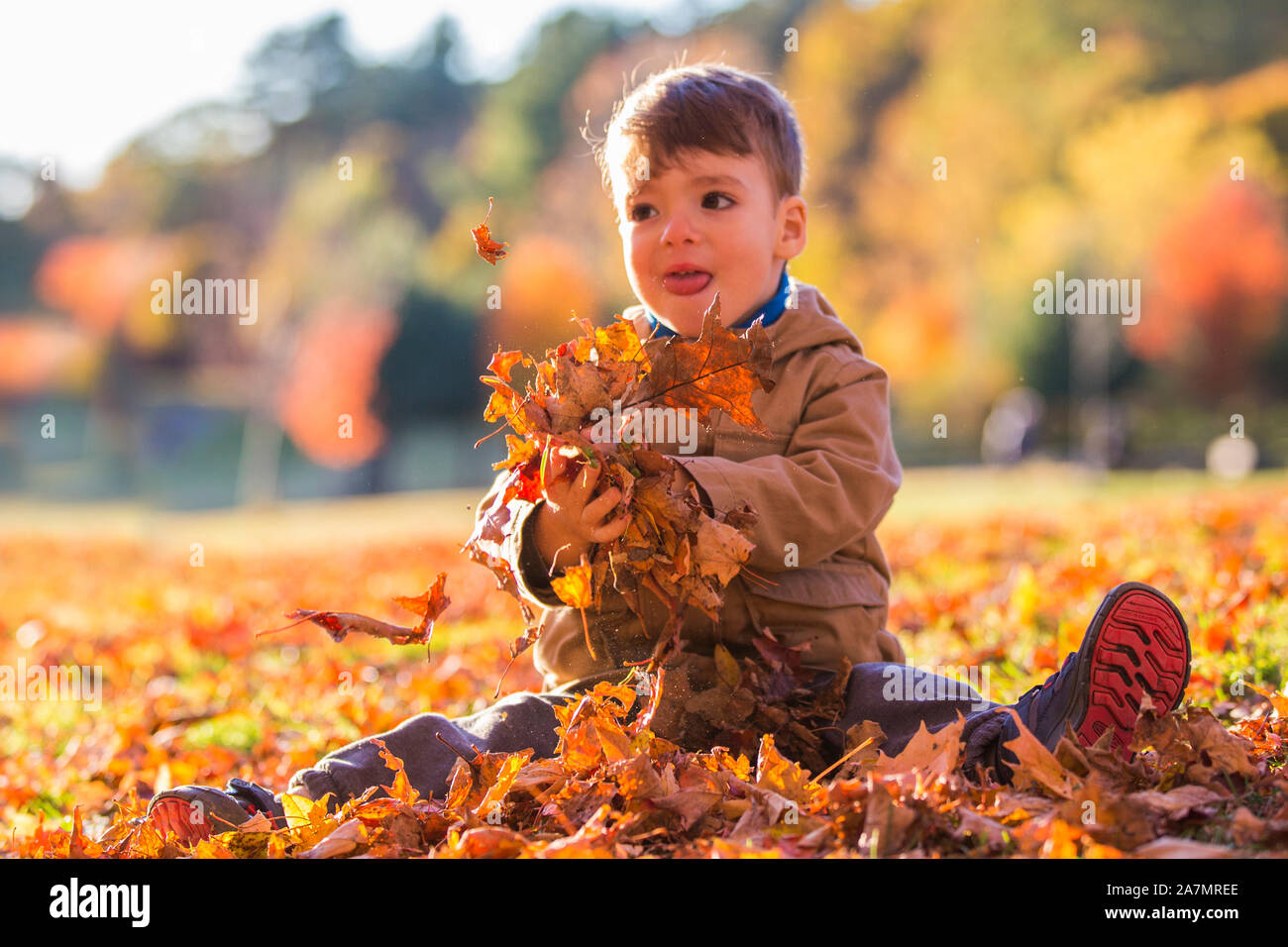 Cute little boy in autumn Stock Photo - Alamy