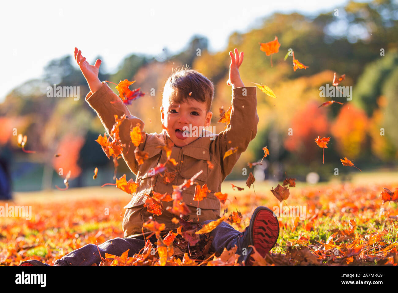 Cute little boy in autumn Stock Photo - Alamy