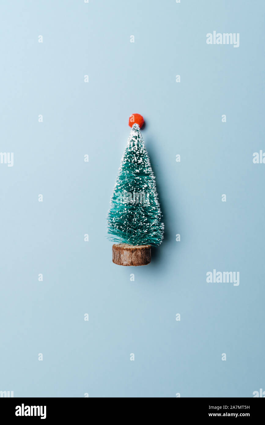 Miniature Christmas pine tree. Decorative Christmas tree on light blue ...