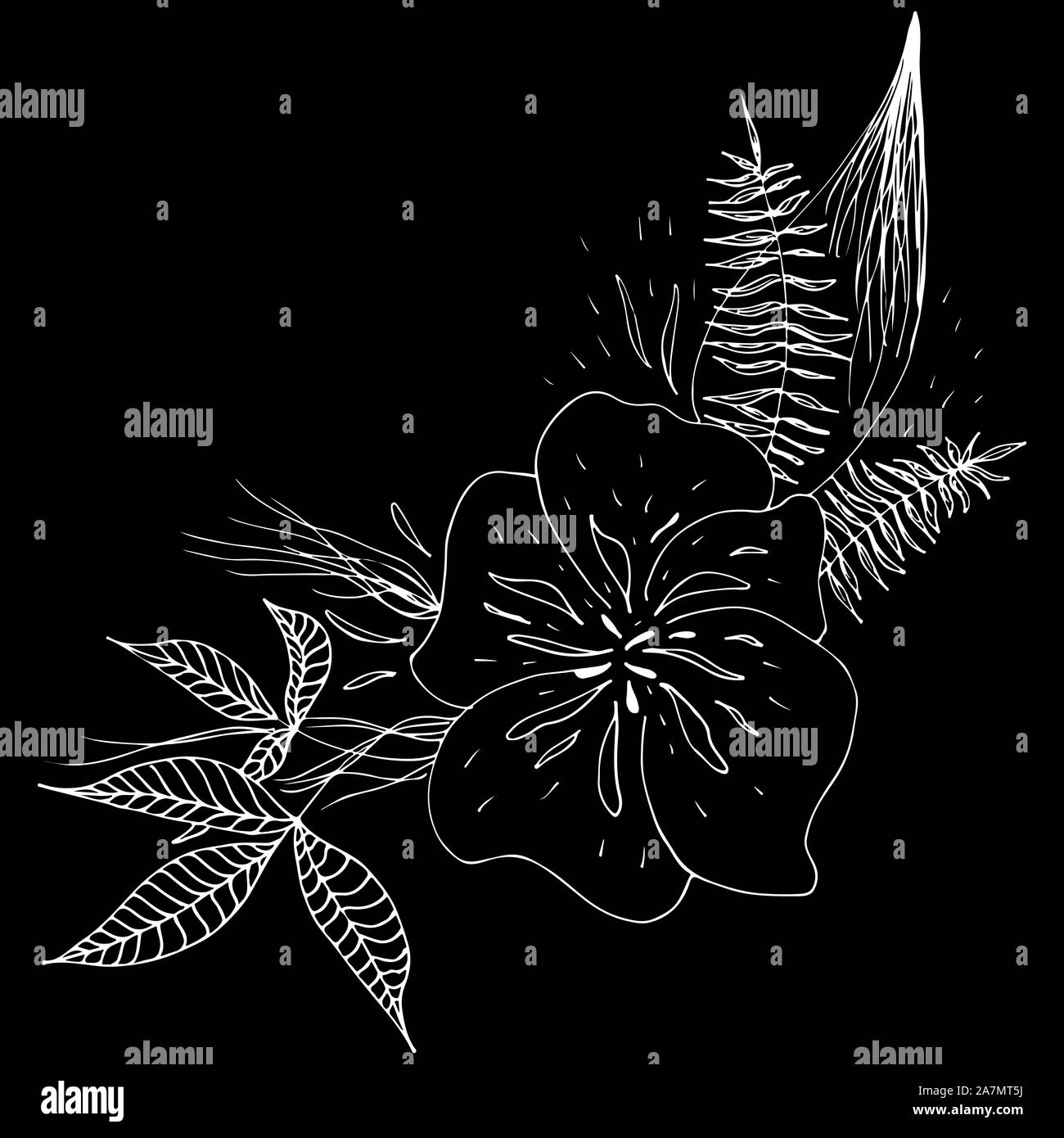 Engraved hand drawn abstract orchid. Retro flowers hand outline orchid ...