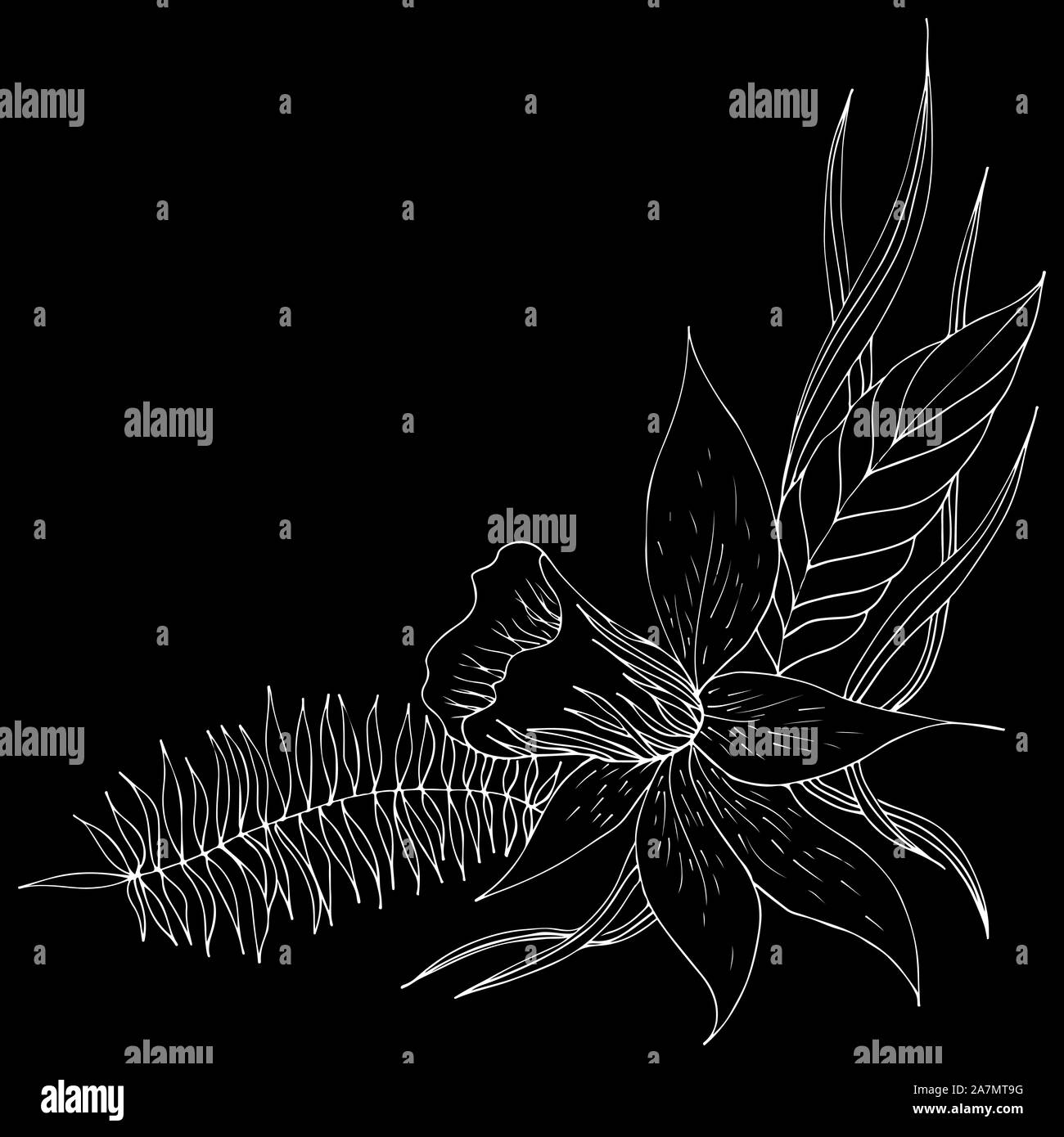 Engraved hand drawn abstract orchid. Retro flowers hand outline orchid ...