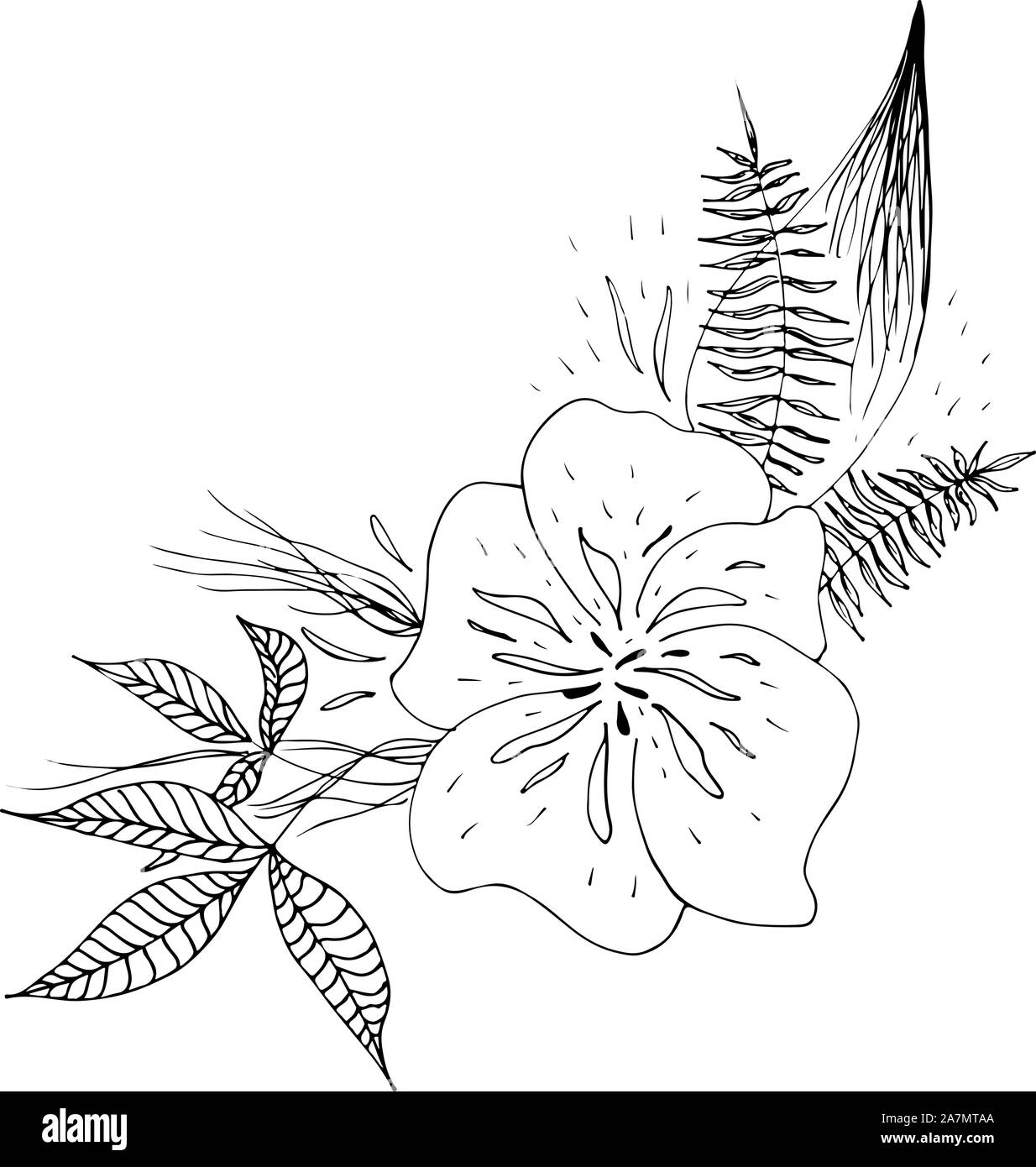 Engraved hand drawn abstract orchid. Retro flowers hand outline orchid ...