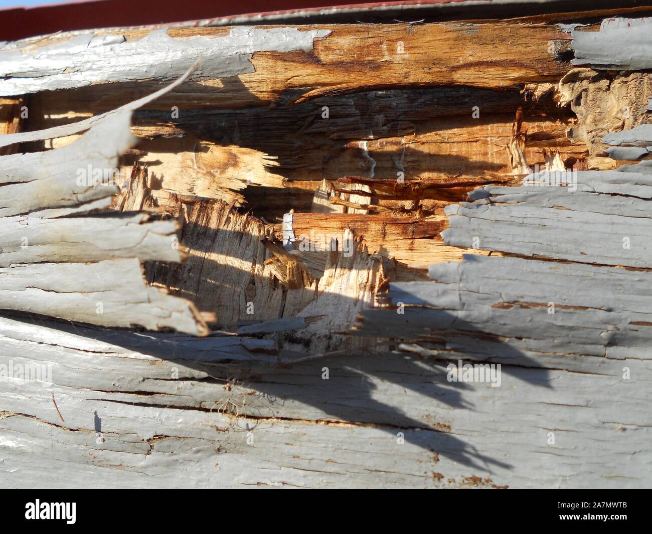 Background texture brown wood, closeup fracture. Fracture consisting of ...