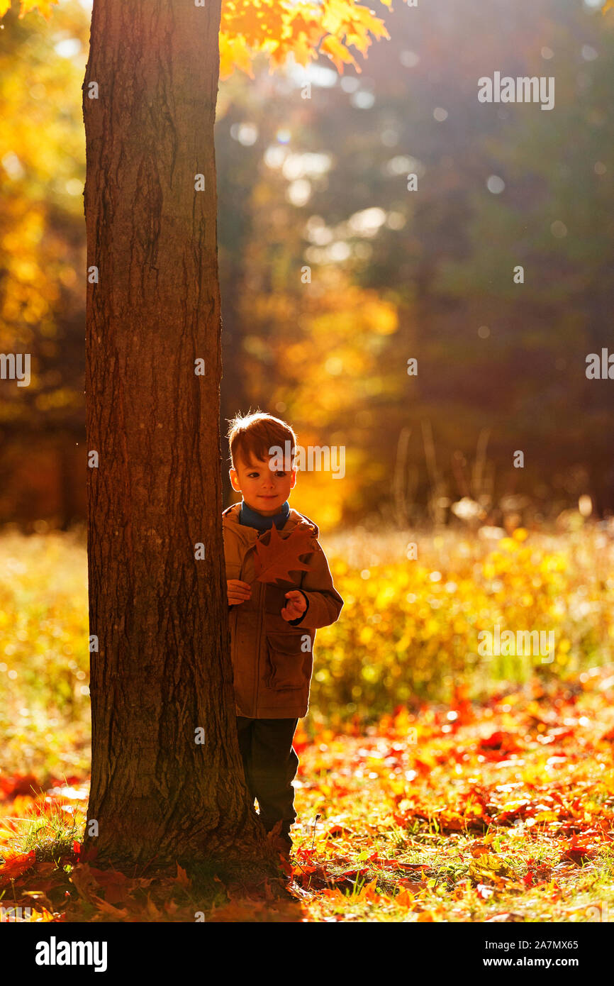 Cute little boy in autumn Stock Photo - Alamy