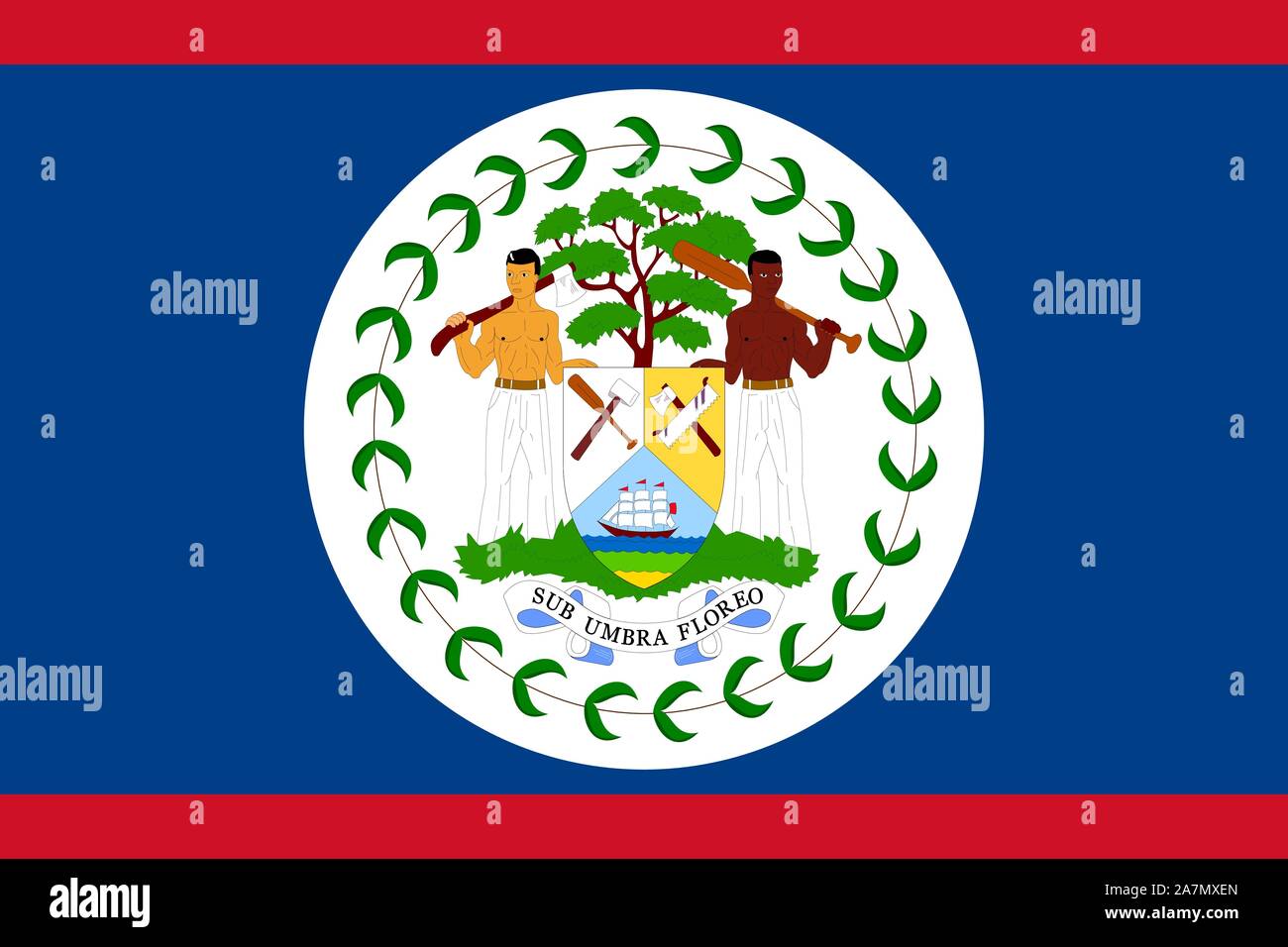 Belize flag vector insignia illustration graphics design Stock Vector ...
