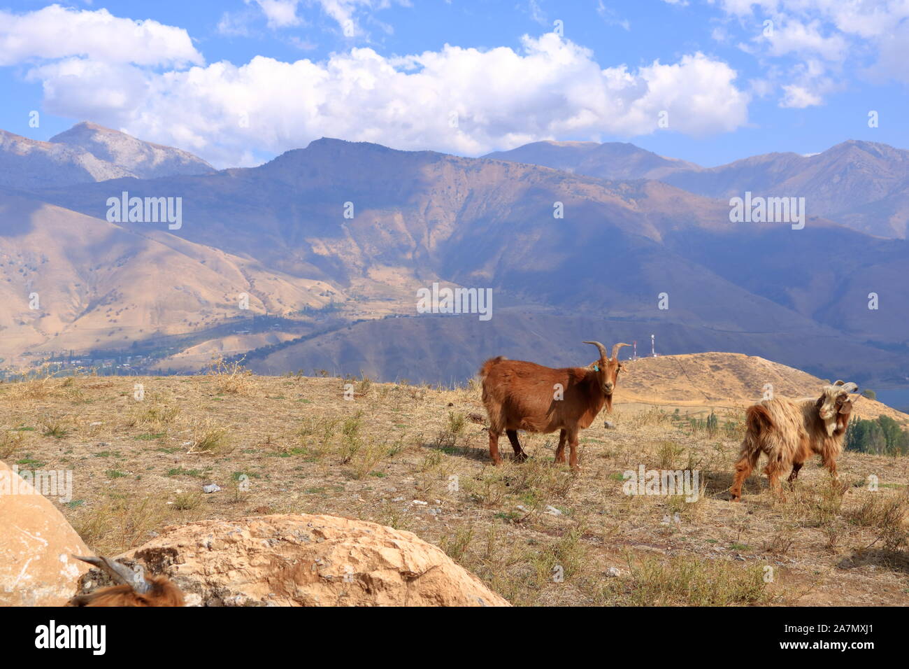 Chimgan mountains hi-res stock photography and images - Alamy