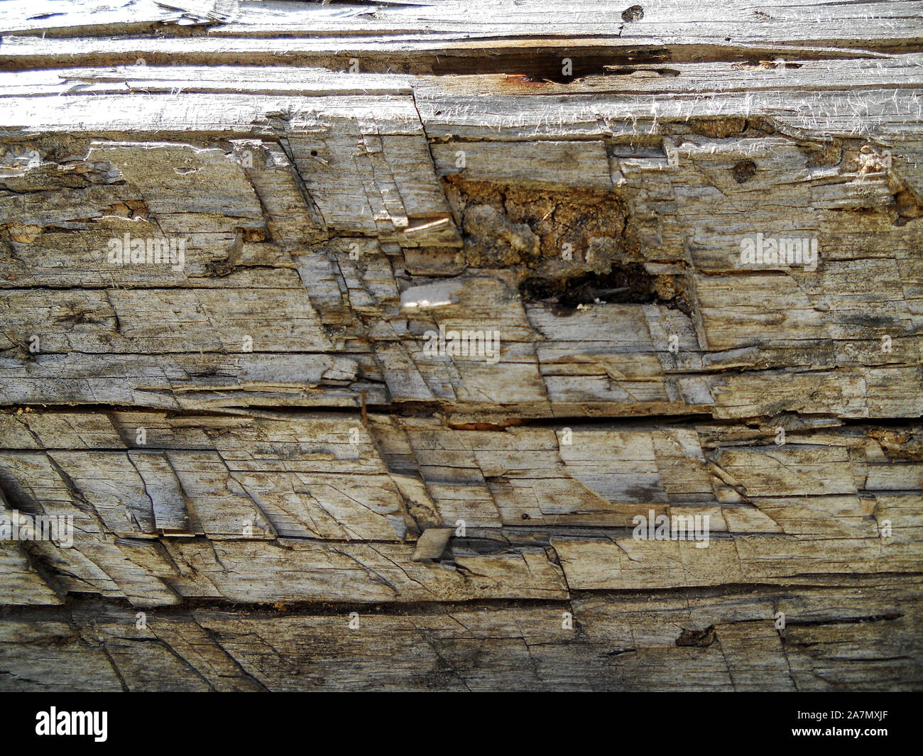 Background texture brown wood, closeup fracture. Fracture consisting of ...
