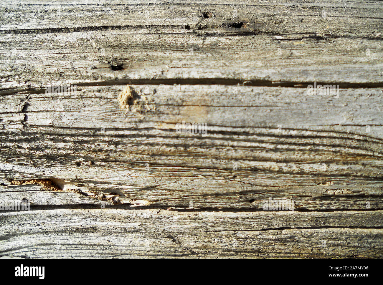 Background texture brown wood, closeup fracture. Fracture consisting of ...