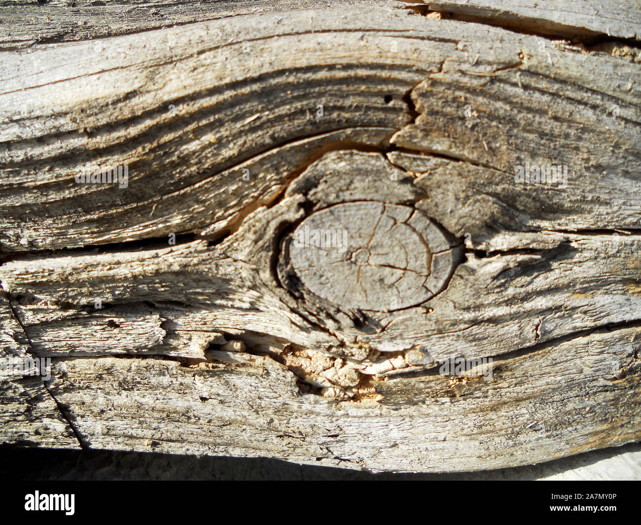 Background texture brown wood, closeup fracture. Fracture consisting of ...