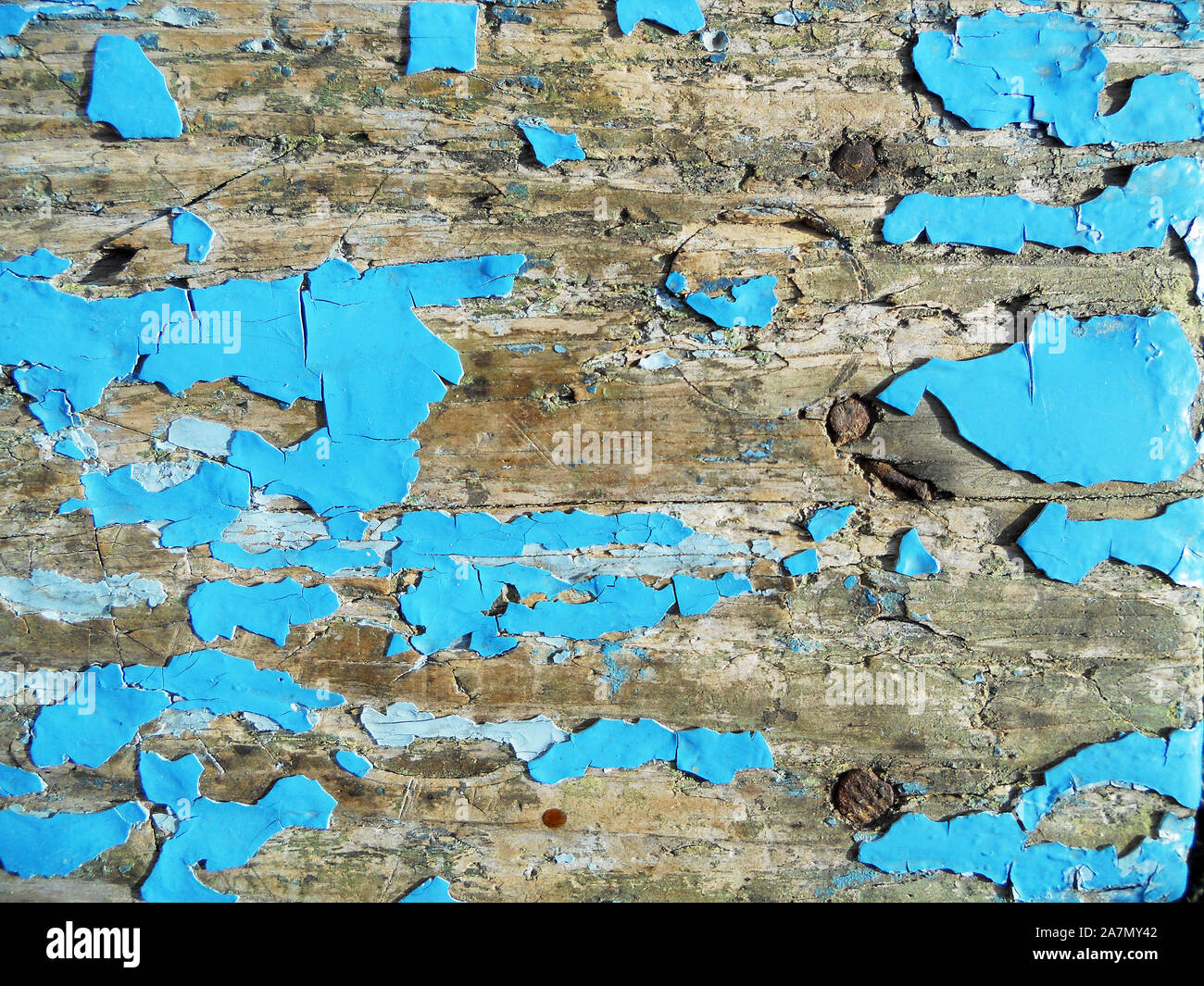 Background texture brown wood, closeup fracture. Fracture consisting of ...