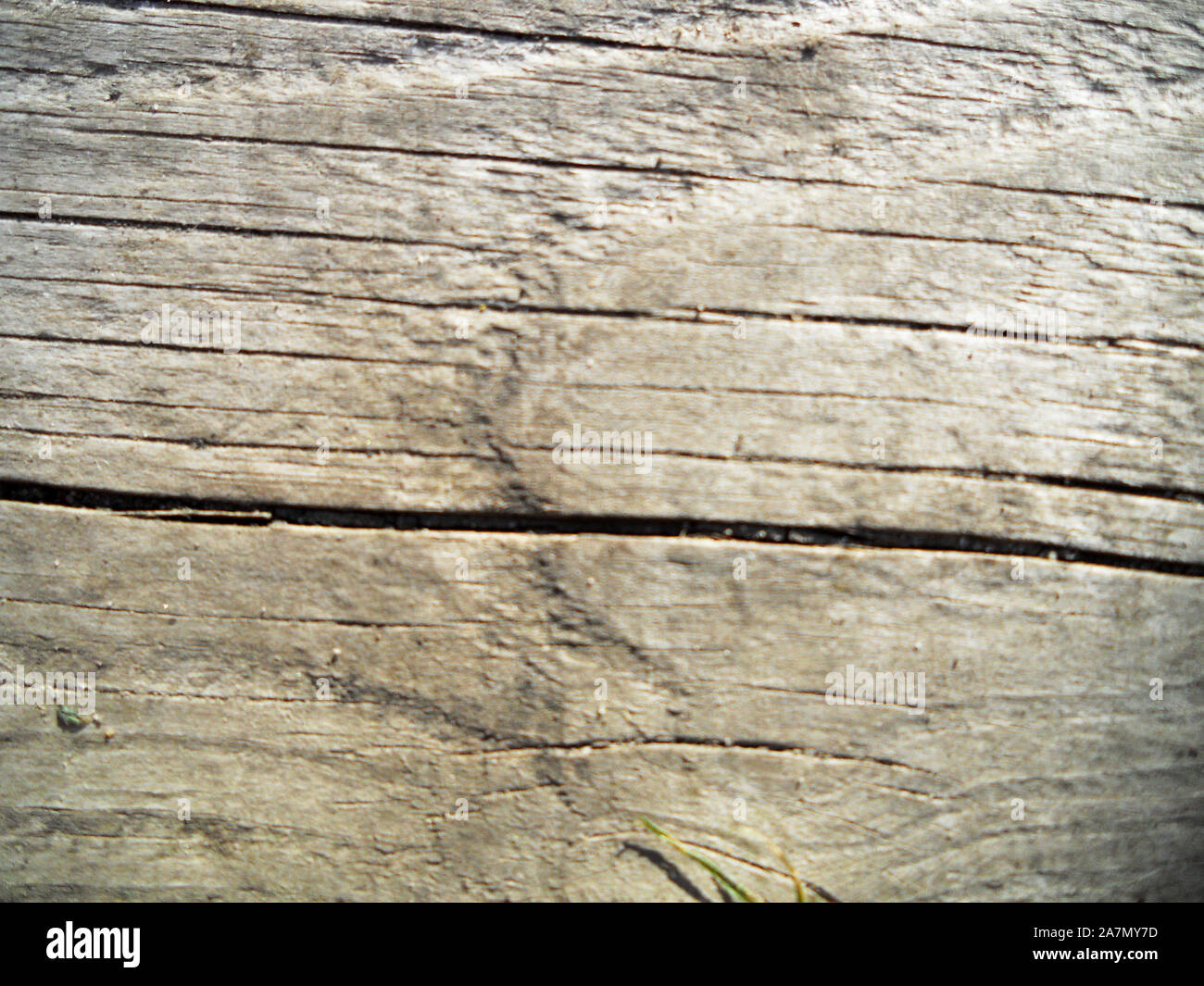 Background texture brown wood, closeup fracture. Fracture consisting of ...