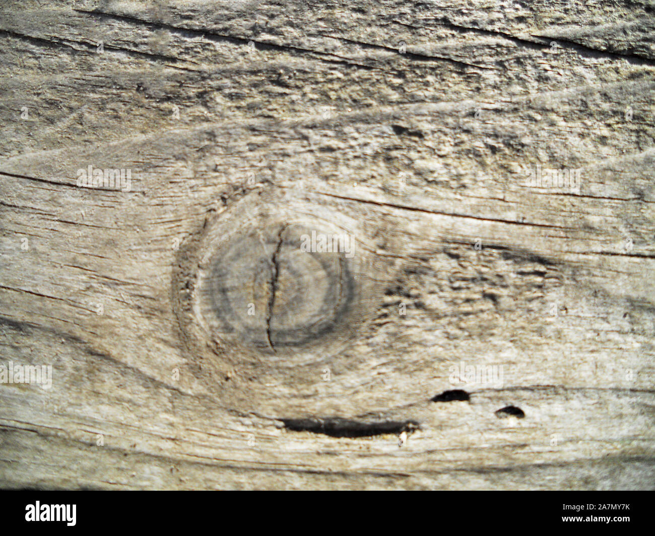Background texture brown wood, closeup fracture. Fracture consisting of ...