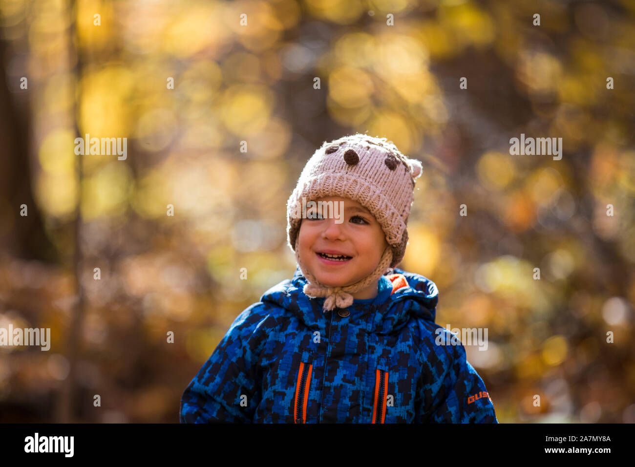 Cute little boy in autumn Stock Photo - Alamy