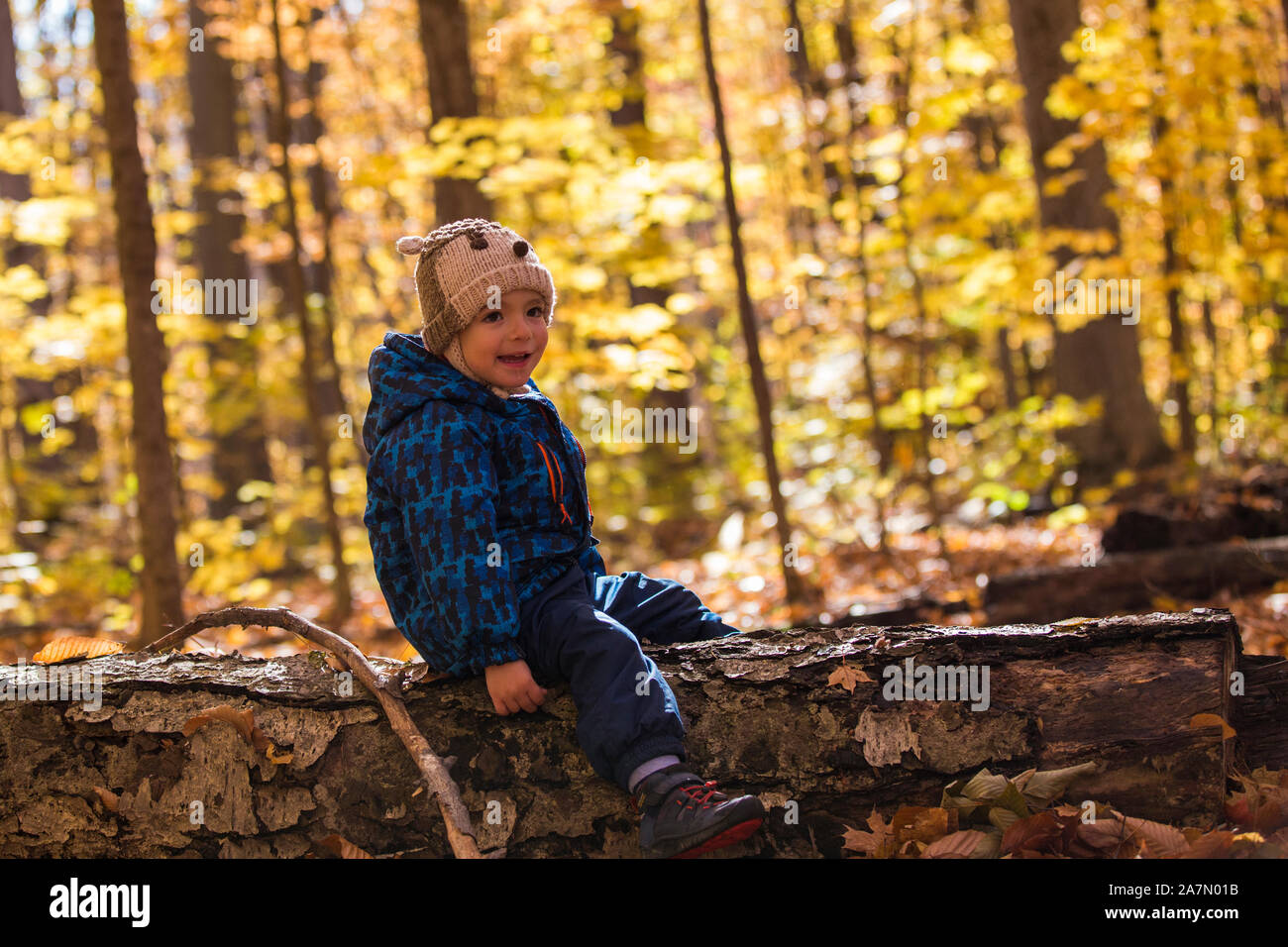 Cute little boy in autumn Stock Photo - Alamy