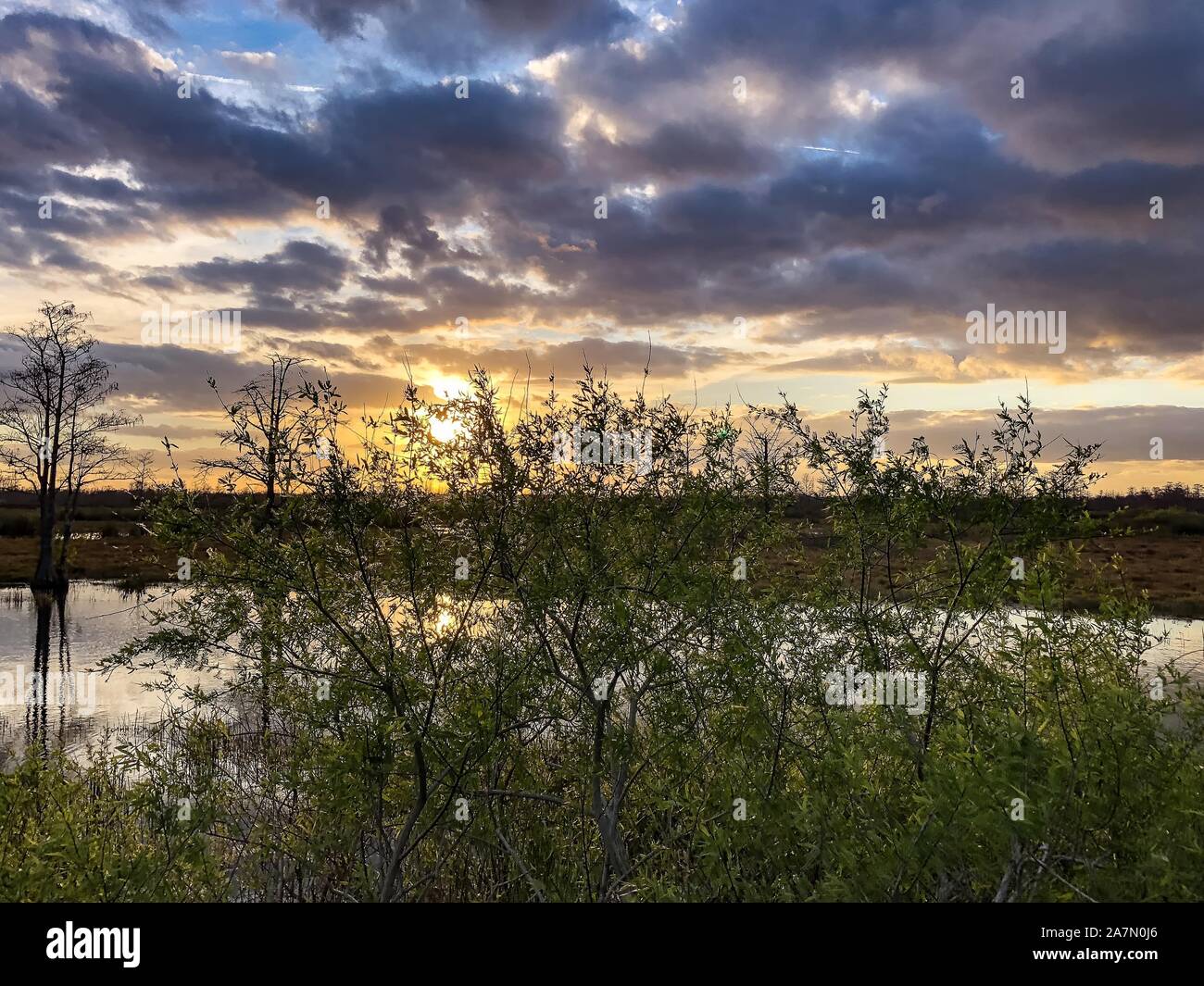 sunset and cypress trees in the bayou Stock Photo - Alamy