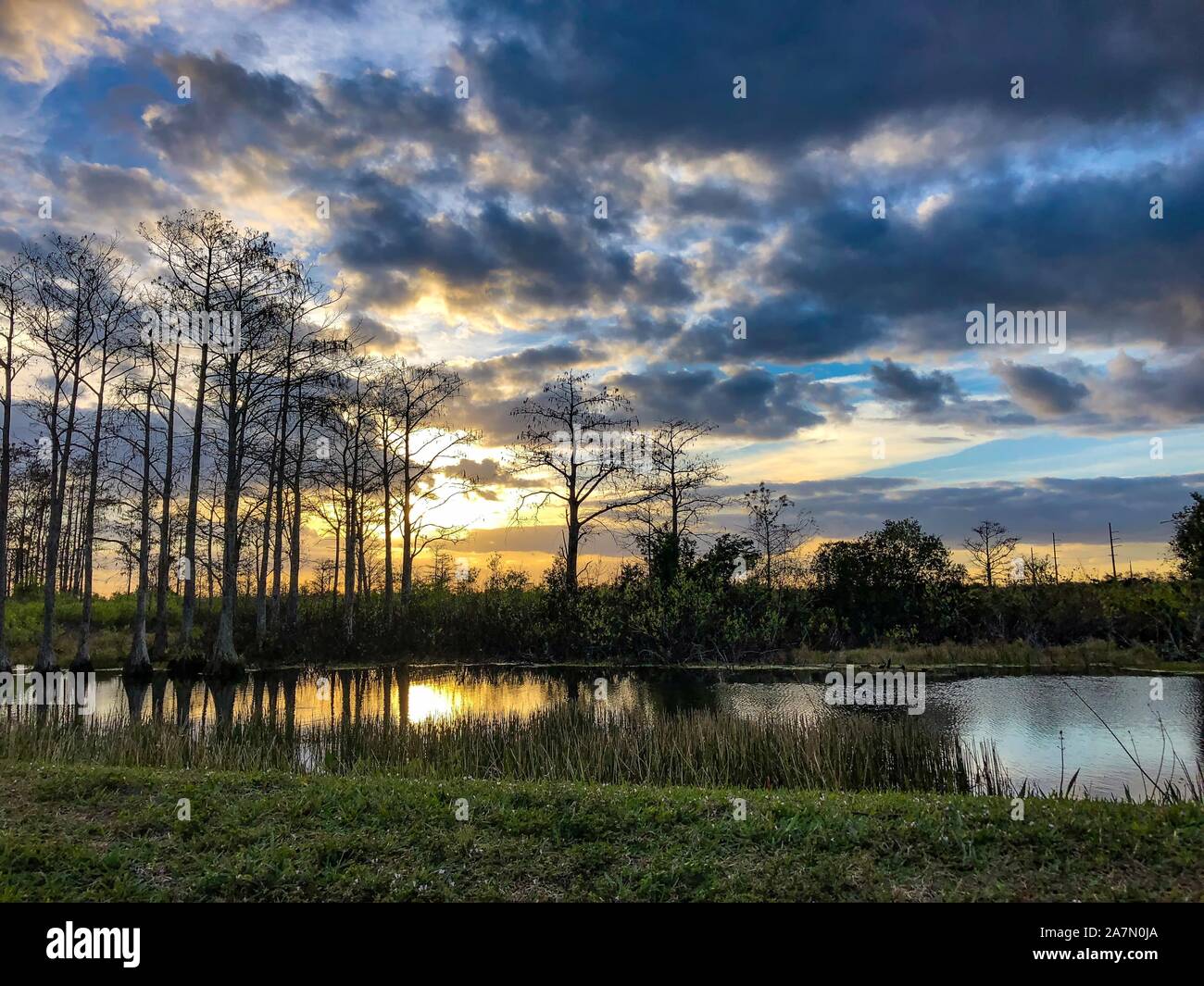 Grassy Waters Nature Preserve - sunset swamp Stock Photo - Alamy