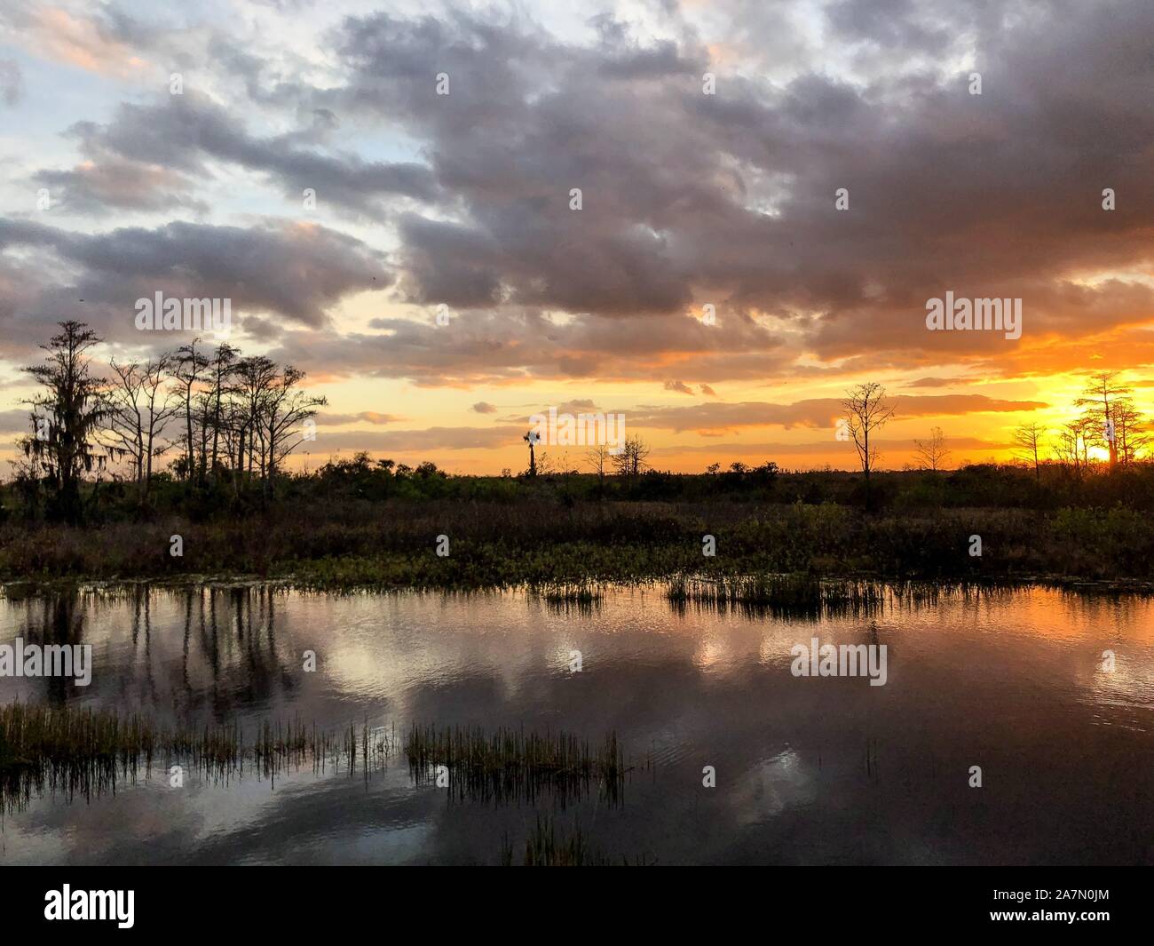Grassy Waters Nature Preserve - sunset swamp Stock Photo - Alamy