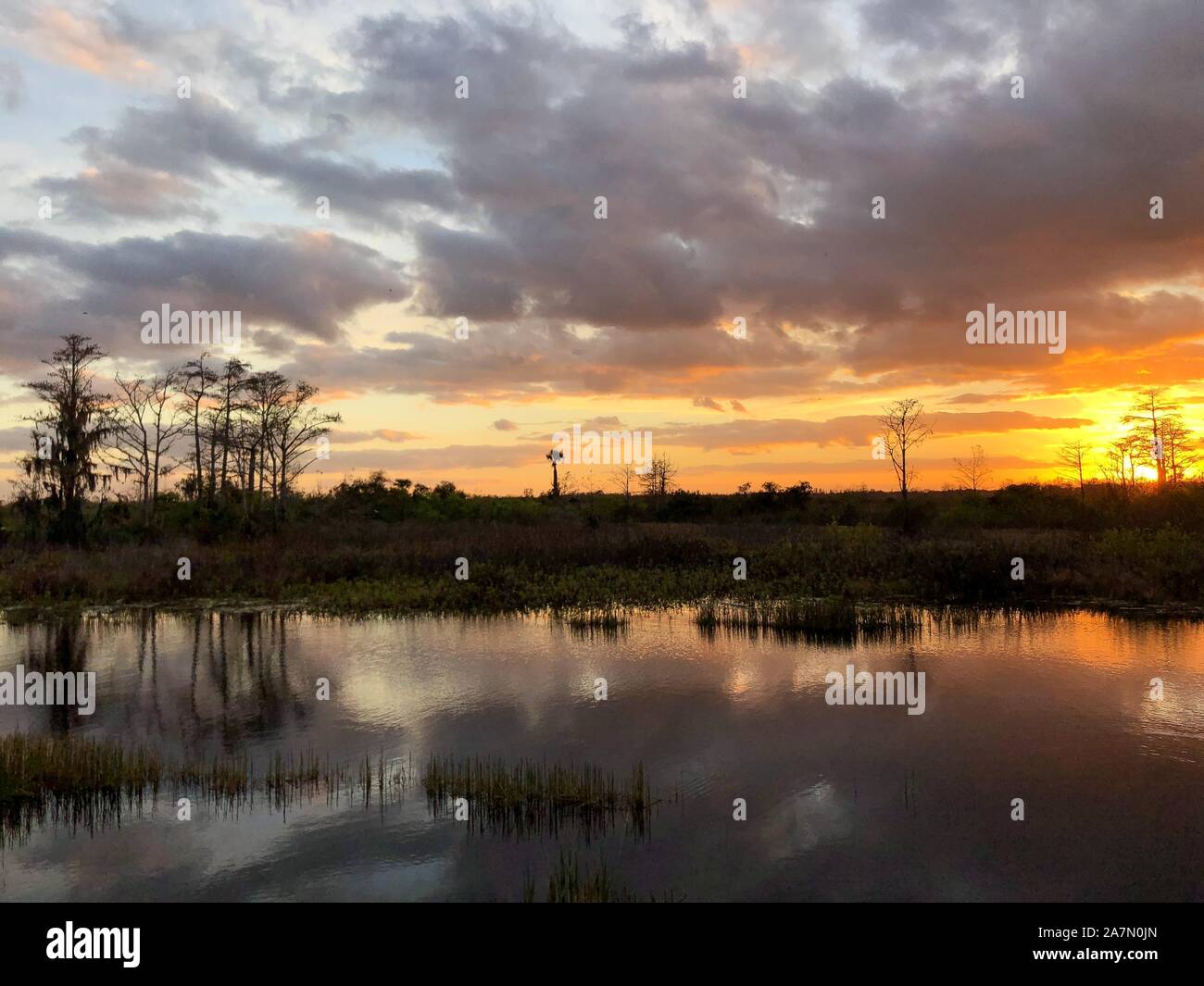 Grassy Waters Nature Preserve - sunset swamp Stock Photo - Alamy
