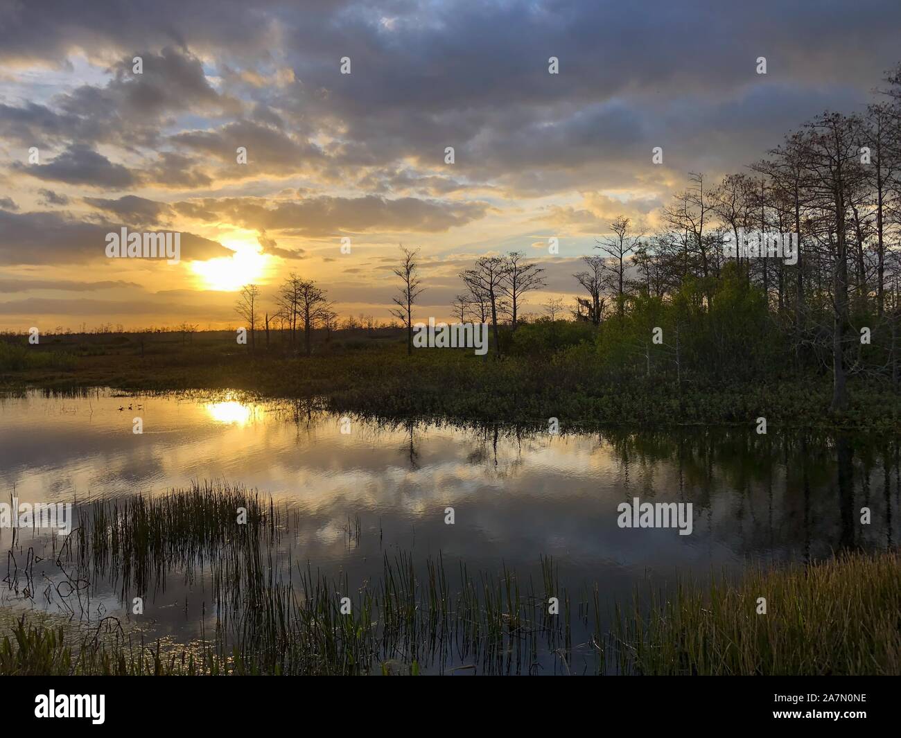 Wetland everglades sunset hi-res stock photography and images - Alamy