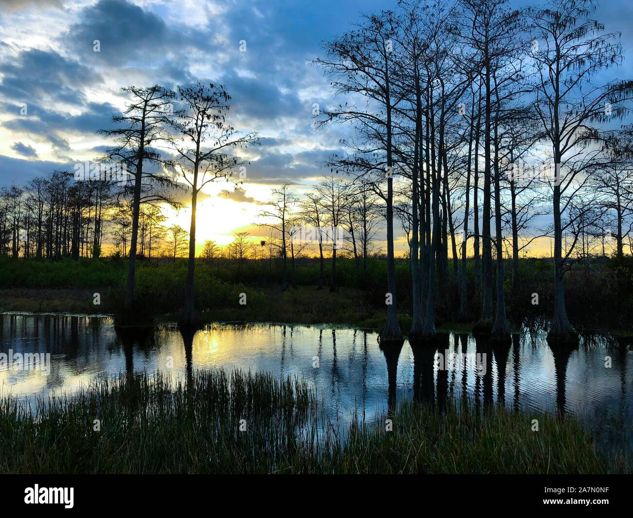 Grassy Waters Nature Preserve - sunset swamp Stock Photo - Alamy