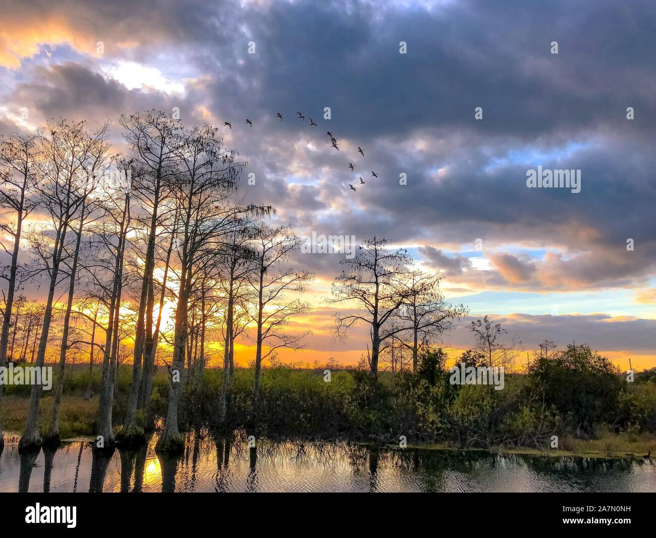 Grassy Waters Nature Preserve - sunset swamp Stock Photo - Alamy
