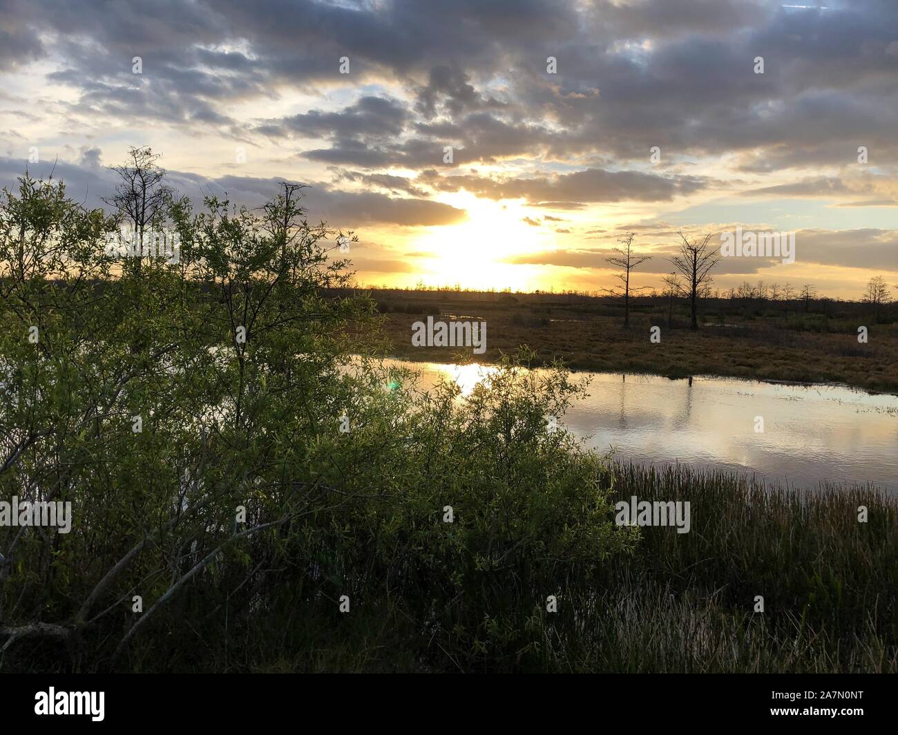 sunset and cypress trees in the bayou Stock Photo - Alamy
