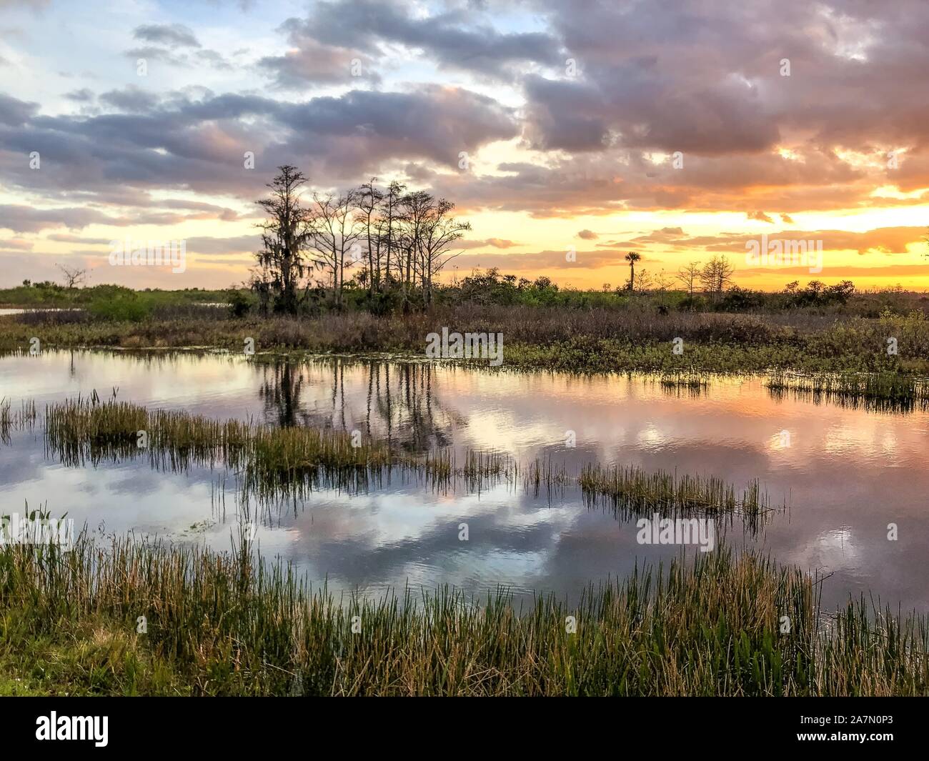 Grassy Waters Nature Preserve - sunset swamp Stock Photo - Alamy