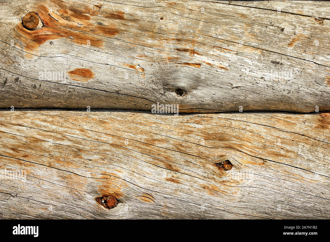 texture of logs, masonry coupling of wooden logs with cuts. Copy Space ...
