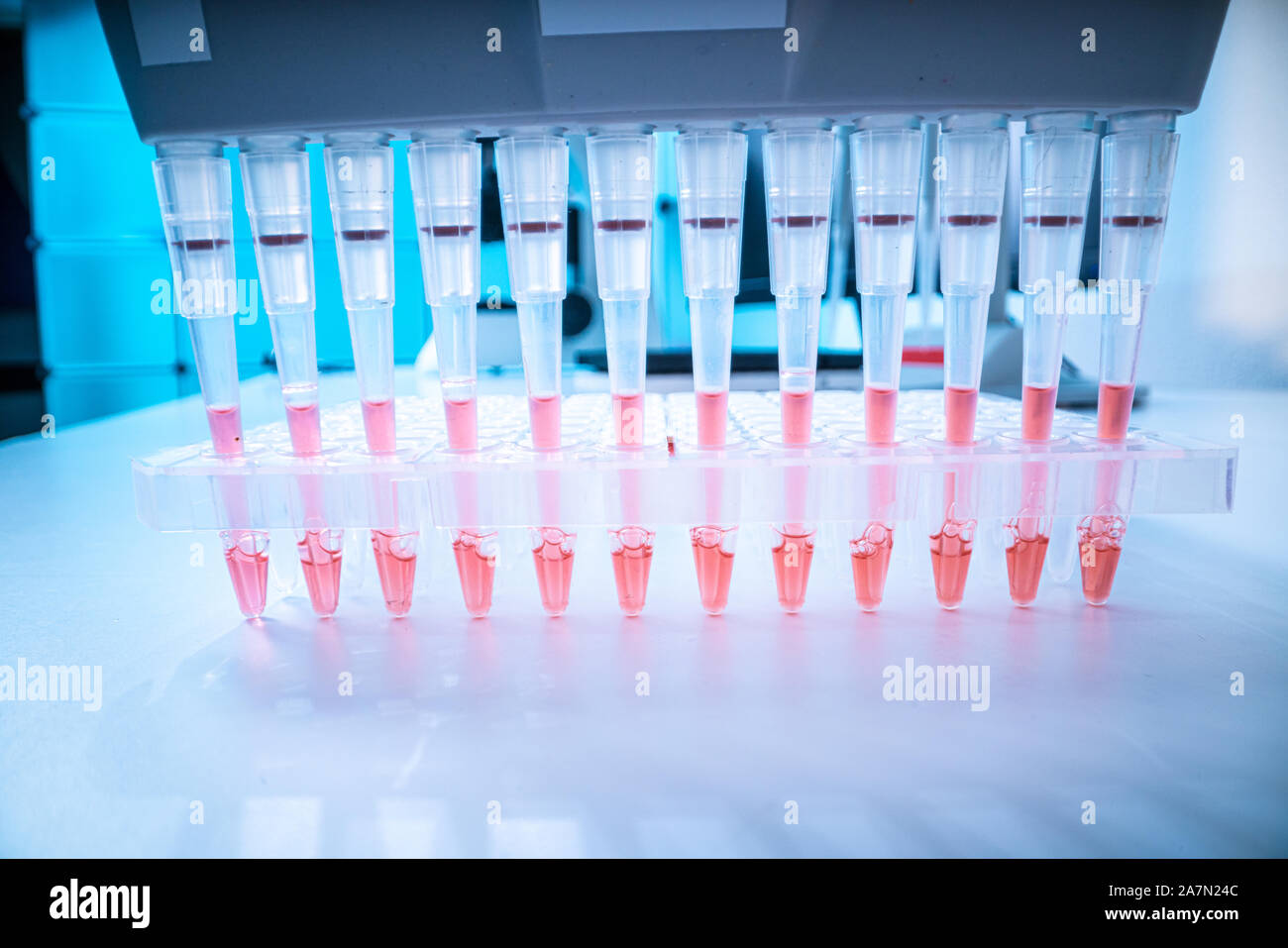 sample of biological sample for DNA analysis Stock Photo - Alamy