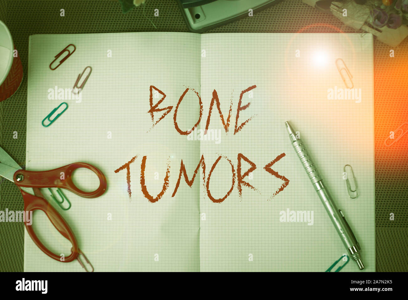 Text sign showing Bone Tumors. Business photo text can be either benign ...