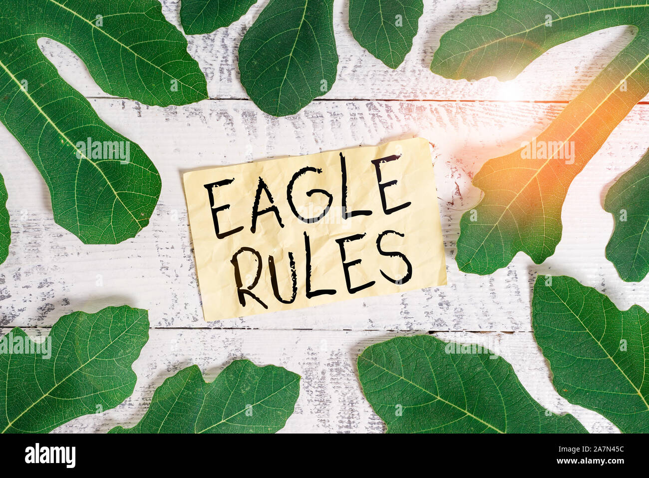 Conceptual hand writing showing Eagle Rules. Concept meaning a huge set ...