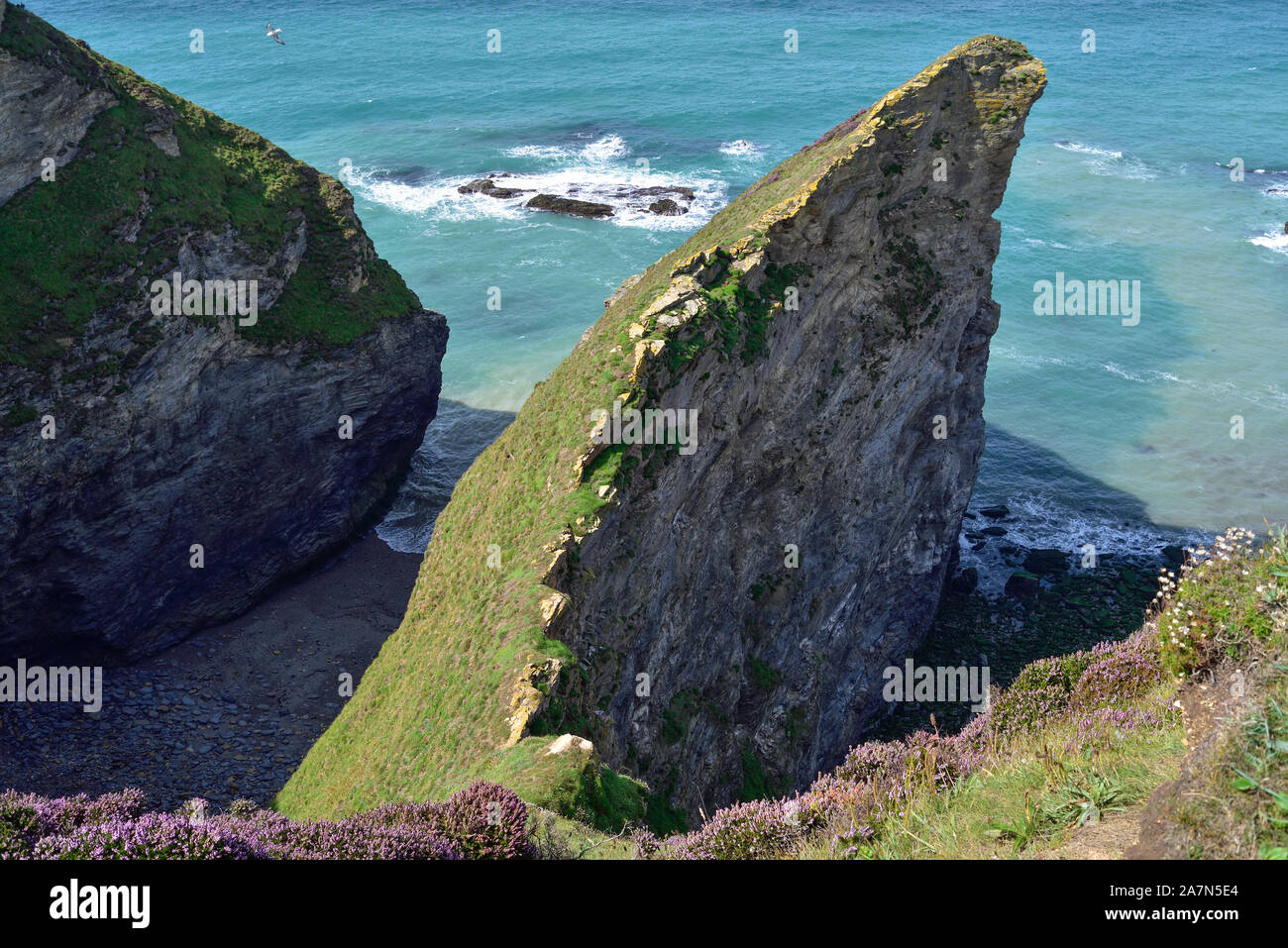 Ralphs hi-res stock photography and images - Alamy