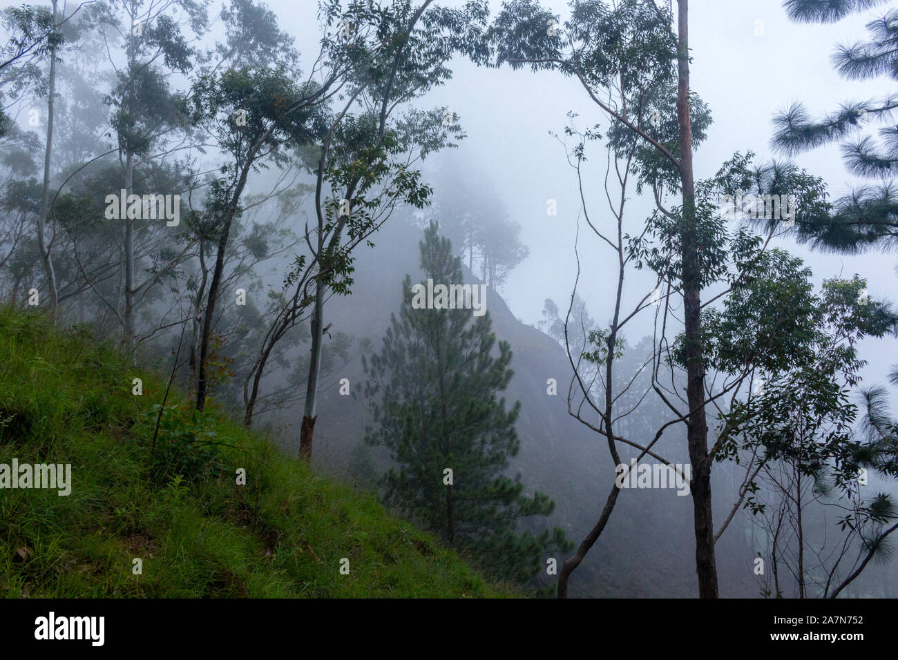 Inside the mountain hi-res stock photography and images - Alamy