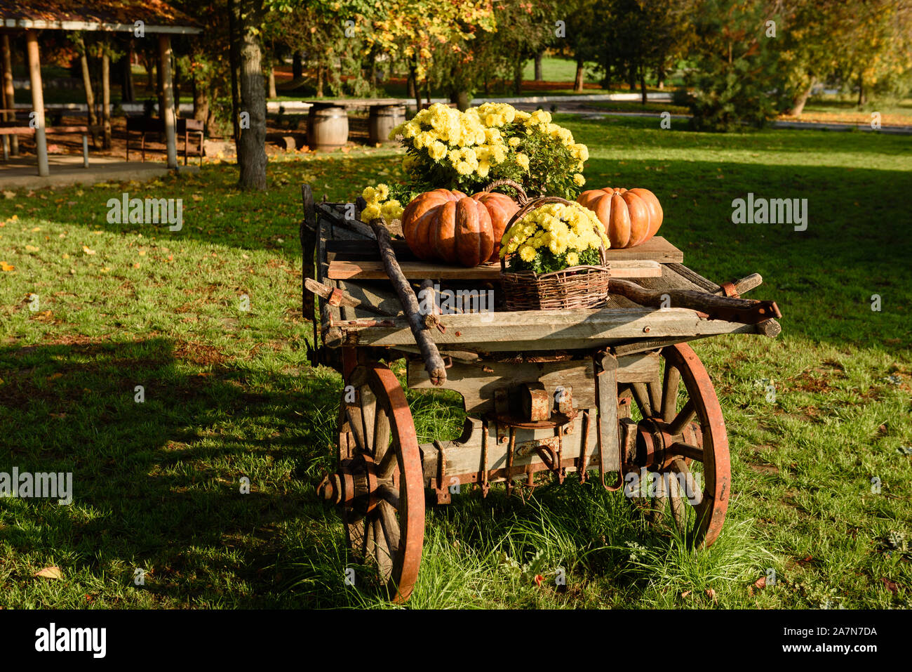 Wooden cart with autumn fruits. Autumn harvest festival - old cart with ...