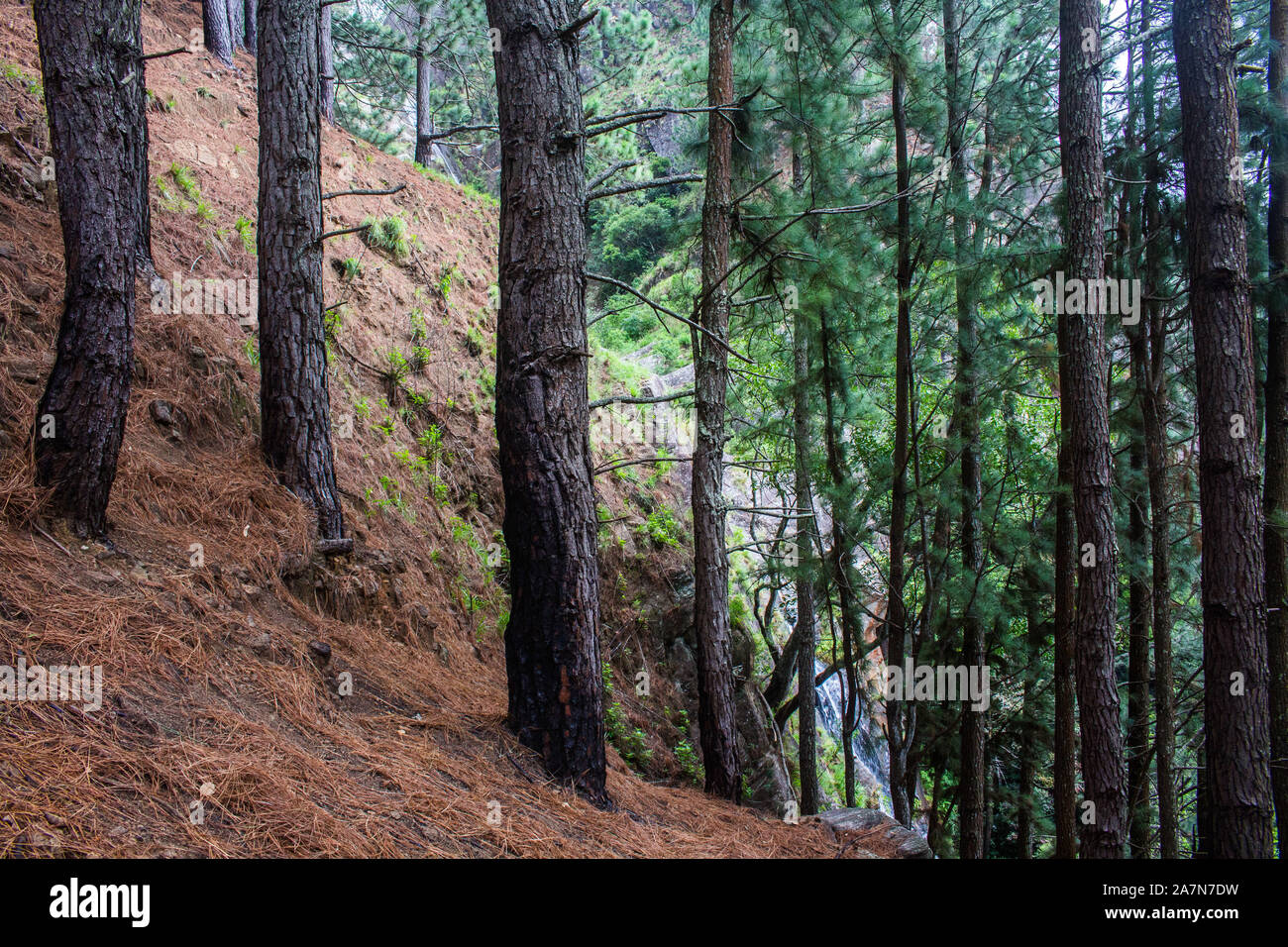 So many rivers hi-res stock photography and images - Alamy