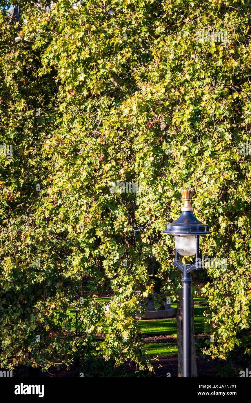 A lamp post seen from up high Stock Photo - Alamy