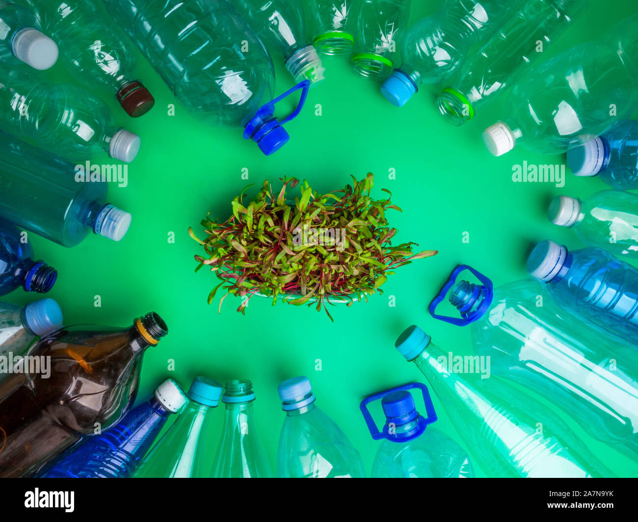 plastic bottles and green microgreens, leaves, Recycle waste management ...
