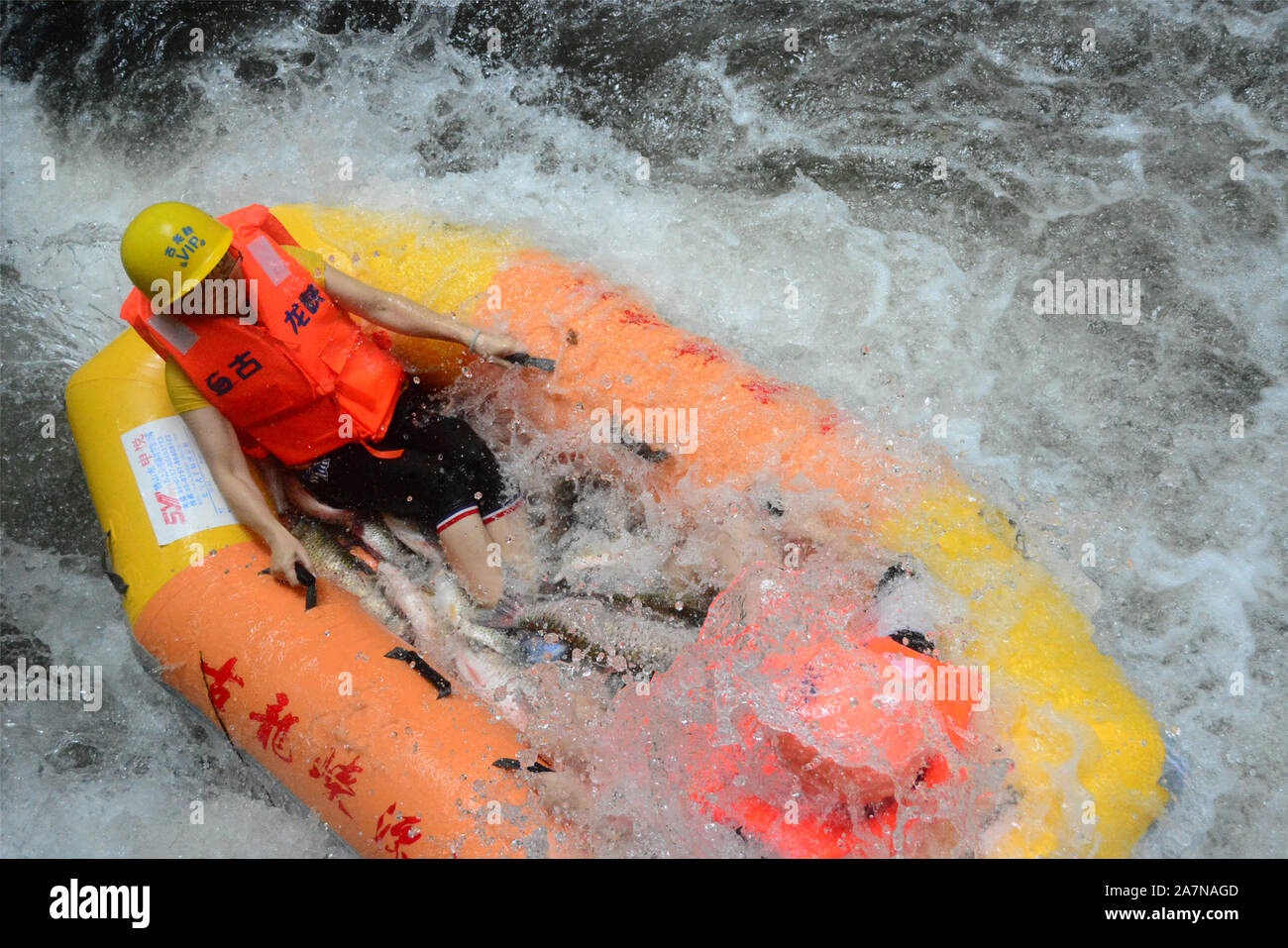 A crowd of tourists sitting on inflatable rafts jam a stream and catch ...