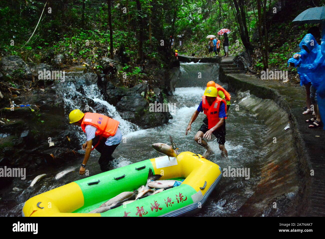 A crowd of tourists sitting on inflatable rafts jam a stream and catch ...