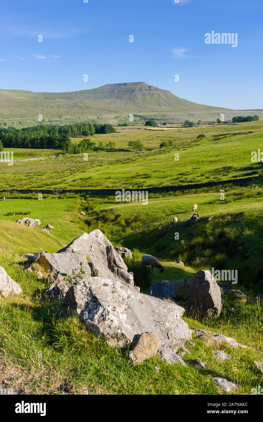 Ingleborough in the Yorkshire Dales National Park, North Yorkshire near ...
