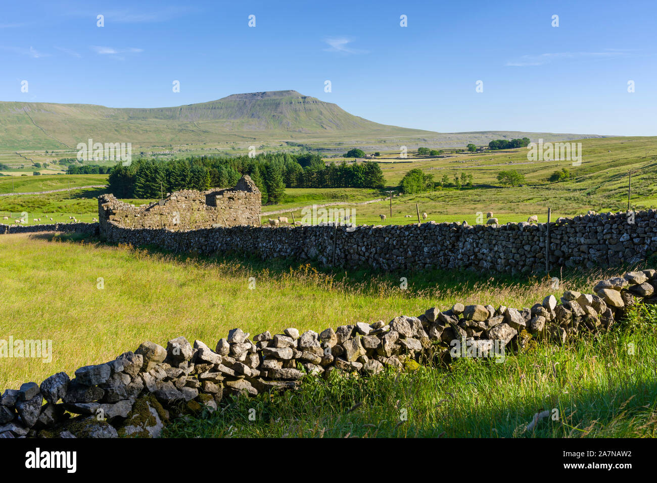 Ingleborough in the Yorkshire Dales National Park, North Yorkshire near ...
