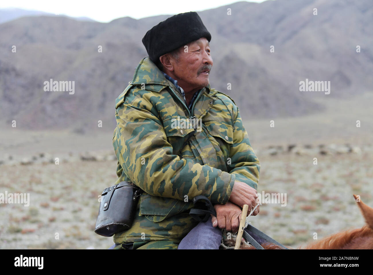 Local man herding sheep in hi-res stock photography and images - Alamy