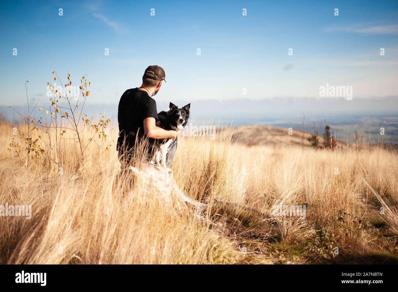 Man with border collie hi-res stock photography and images - Alamy
