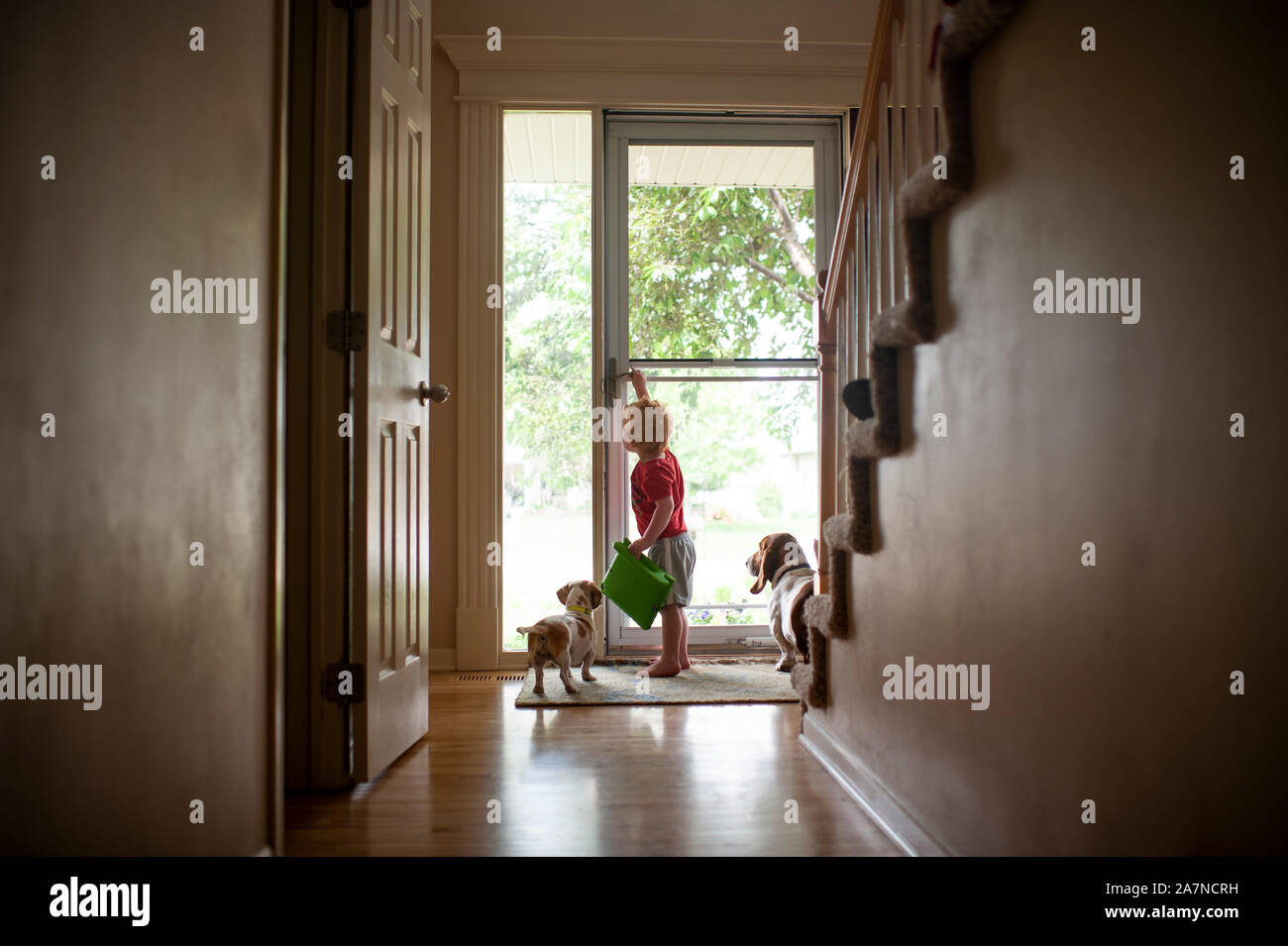 Letting the dog out hi-res stock photography and images - Alamy