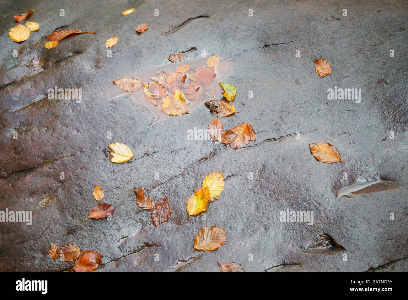 Wet stone texture hi-res stock photography and images - Alamy