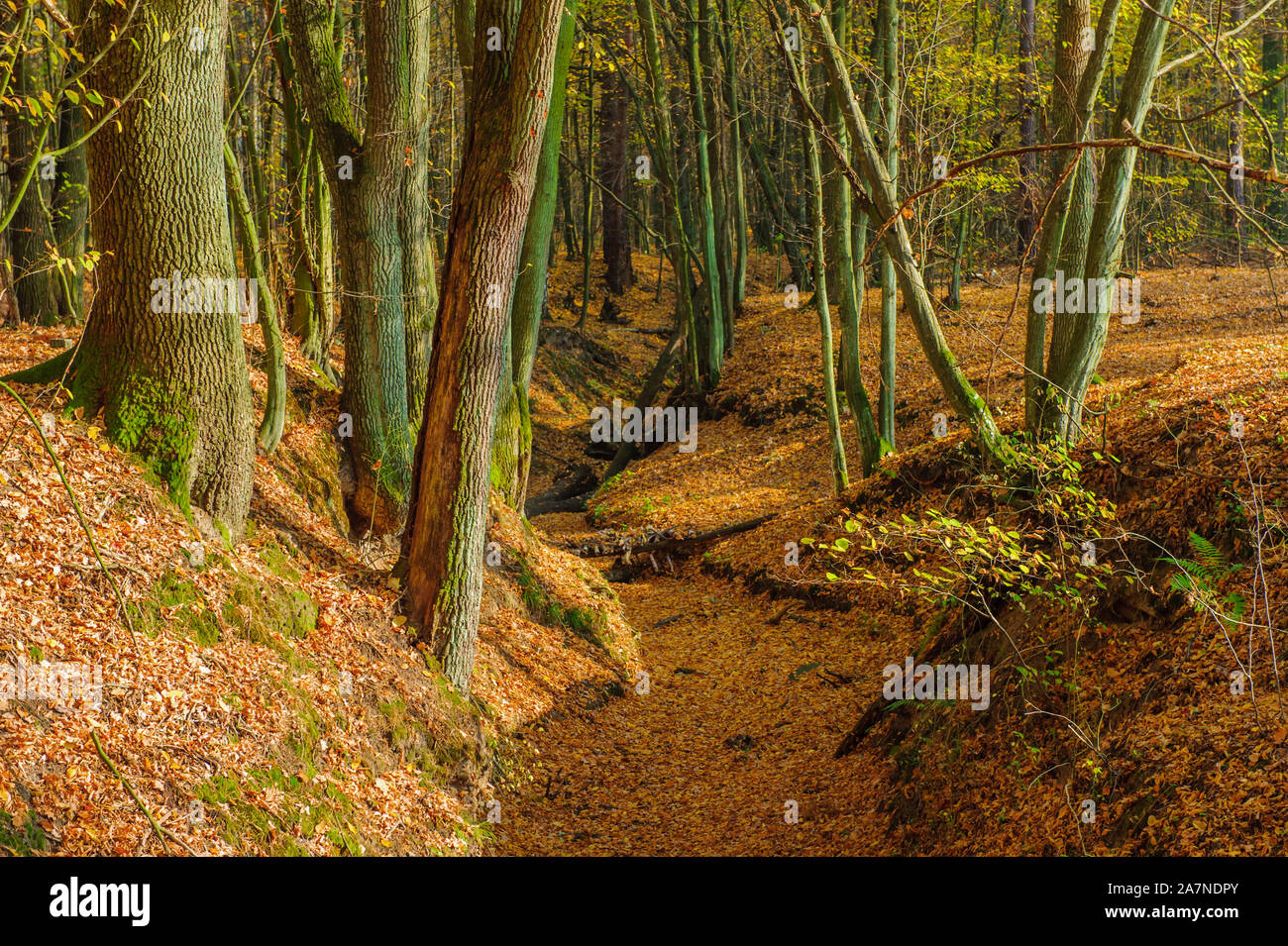 Riverbed erosion hi-res stock photography and images - Alamy