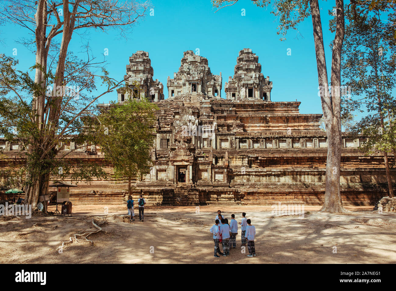 Trees grow through stones in Angkor Wat Temple in Cambodia Stock Photo ...