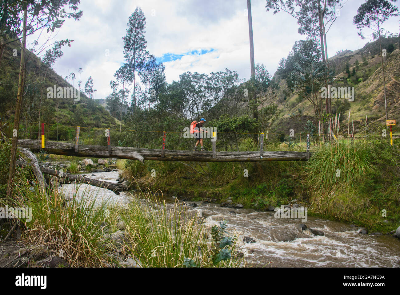 Trekker crossing the log bridge over the Rio Toachi along the Quilotoa ...
